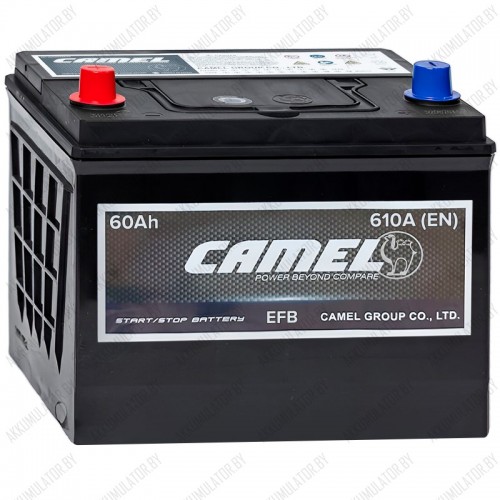 Купить Аккумулятор Camel Asia EFB / 60Ah / 610А / Прямая полярность в ...